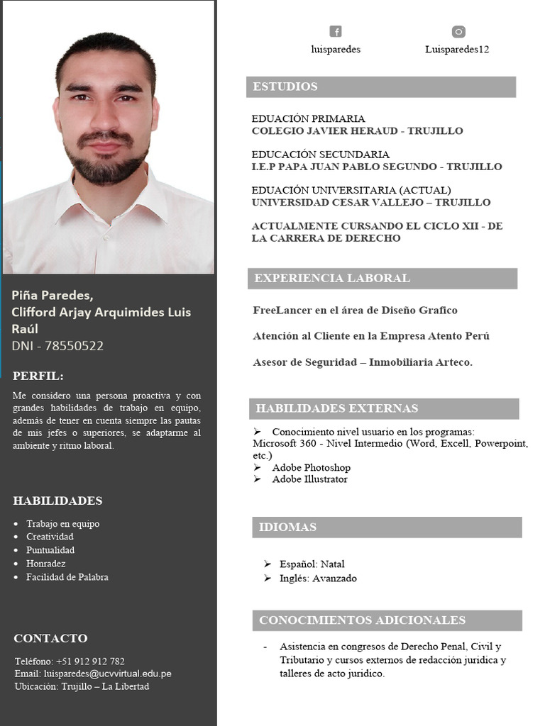 CV - Piña Paredes | PDF