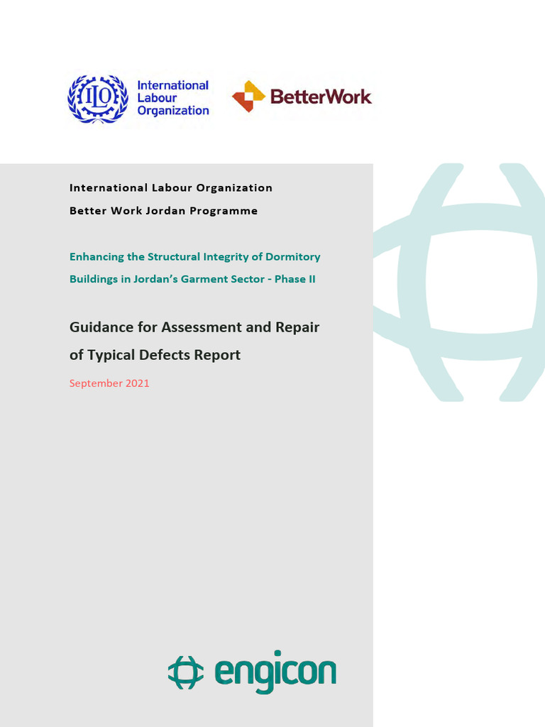 Guidance for Assessment and Repair of typical defects report | PDF ...
