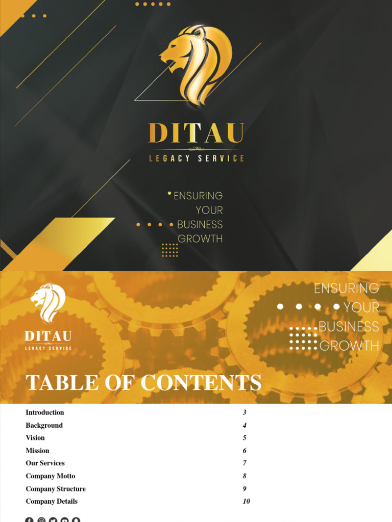 Ditau Legacy Service Overview | PDF | Customer | Business