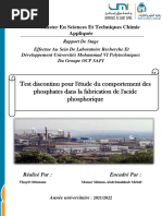 Organigramme Ocp Nouveau | PDF | Maroc | Business