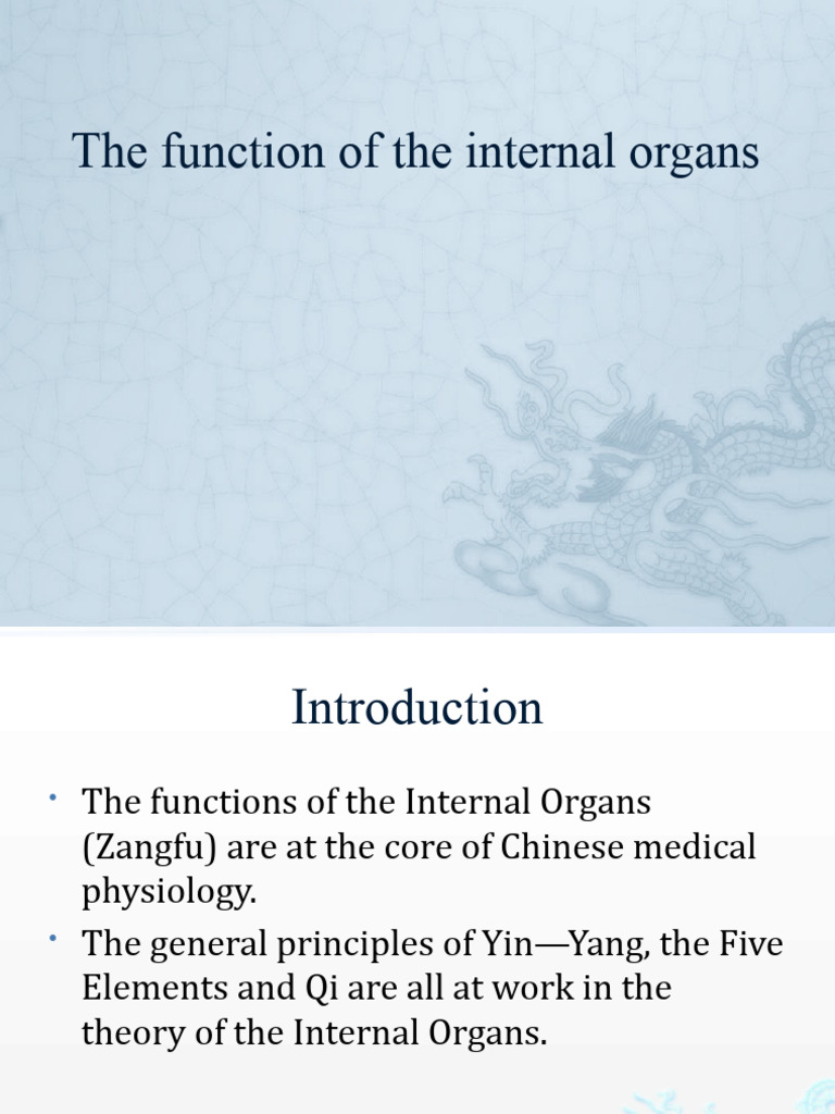 Internal Organs Intro | PDF | Organ (Anatomy)