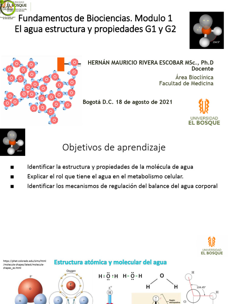 Agua Estructura y Propiedades - G1 y G2 | PDF | Sodio | Excreción