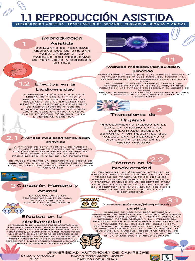 Infografia Reproducción Asistida Ángel Basto | Descargar gratis PDF | Tecnología de reproducción ...