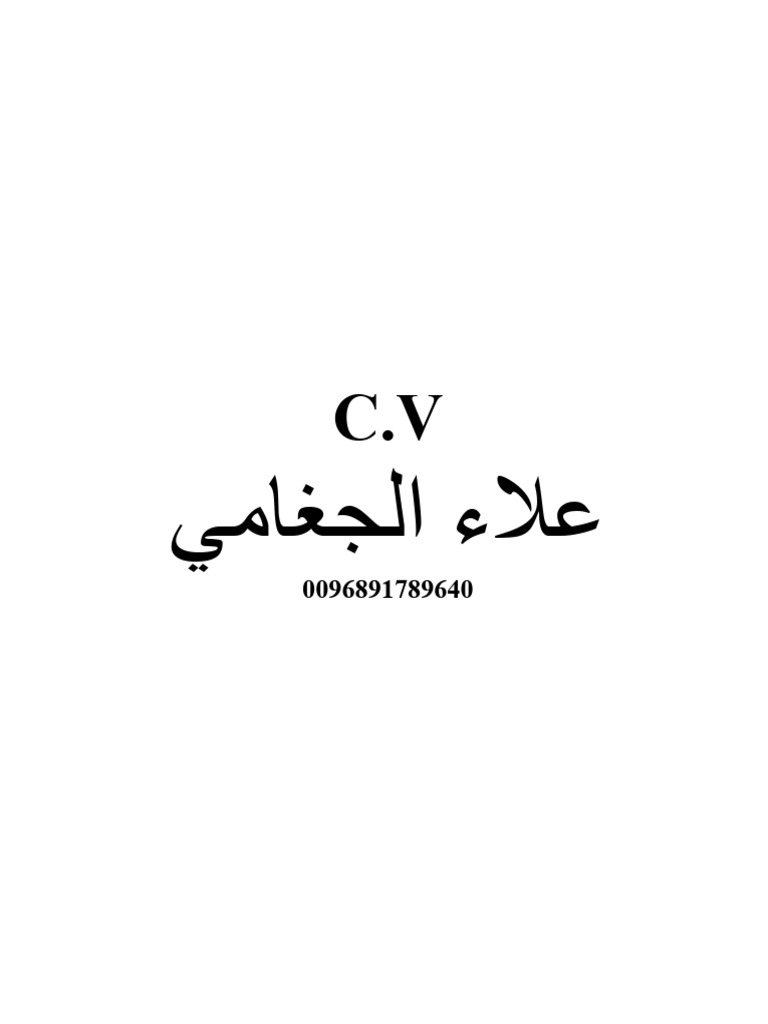 Alaa CV Arabic | PDF