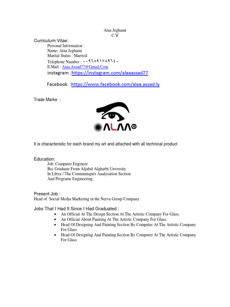 Alaa - English C.V | PDF | Computing | Software