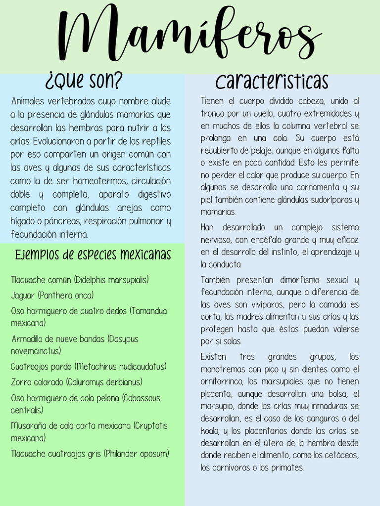 Mamiferos | PDF | Vertebrados | Órdenes de mamíferos