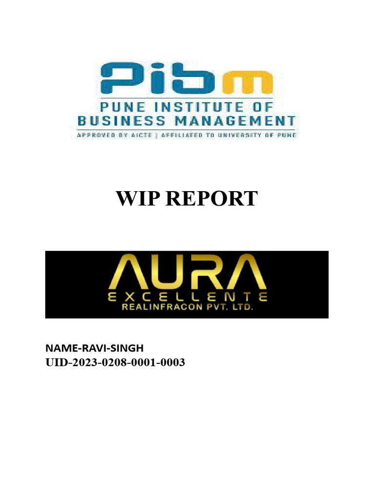 Wip Aura Report | PDF | Investing | Market (Economics)