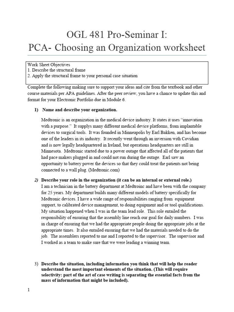 1 choosing an org worksheet final | PDF
