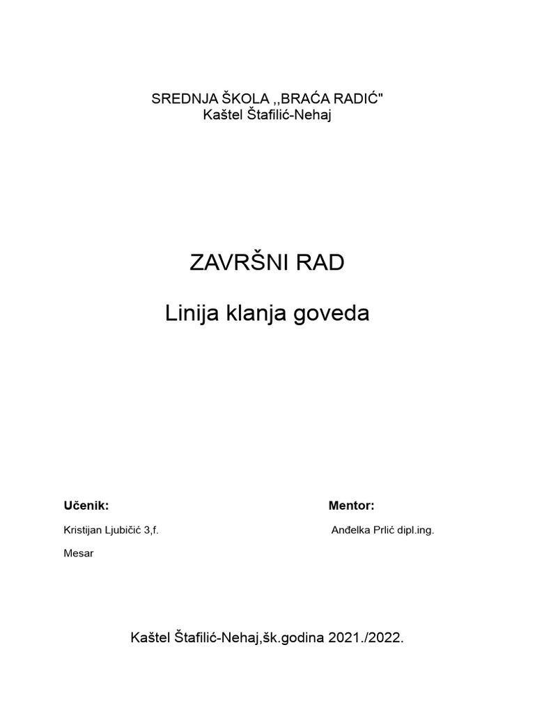 Kristijan Ljubičić Maturalni Rad | PDF