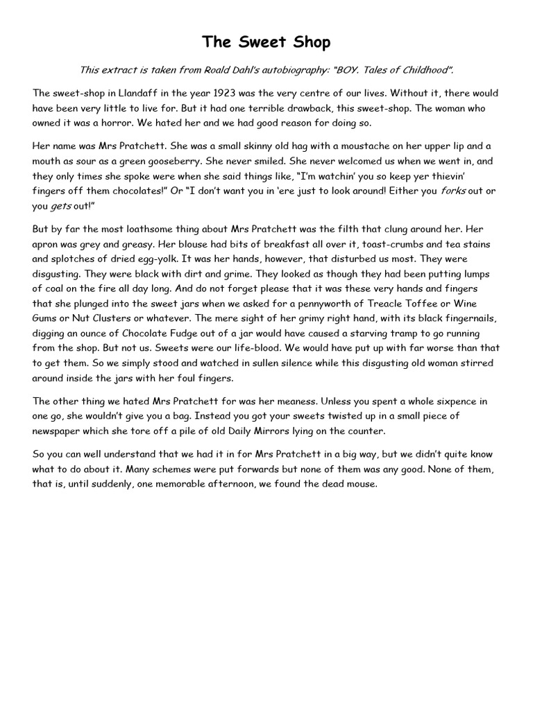 Year 8 Comprehension | PDF