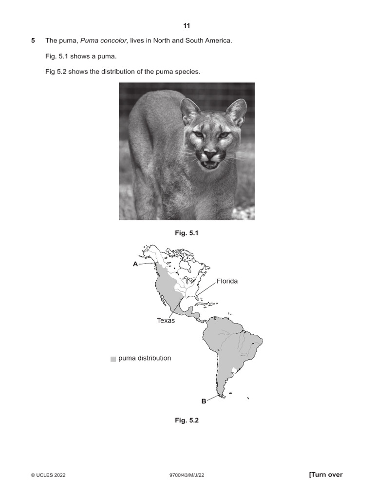 Evolution and Genetic Analysis of Puma Subspecies | PDF | Reindeer | Operon