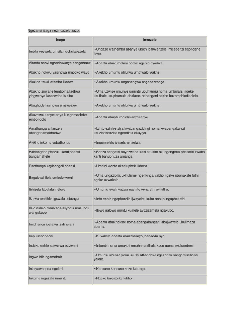 Izaga Nezincazelo Zazo | PDF