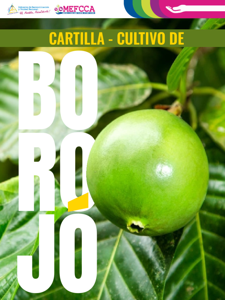 CARTILLA CULTIVO DE BOROJO | PDF | Marketing | Mercado (economía)