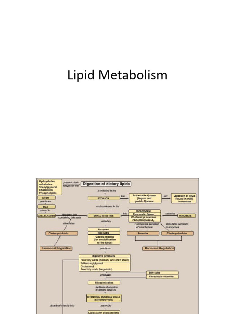 lipid meta | PDF | Fatty Acid | Lipid