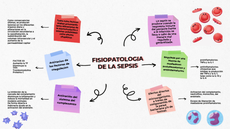 Mapa Mental Fisiopatologia de La Sepsis | PDF | Citocina | Enfermedades ...