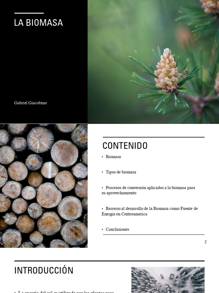 Trabajo Bio-Masa, Gabriel Giacobino | PDF | Biomasa | Residuos