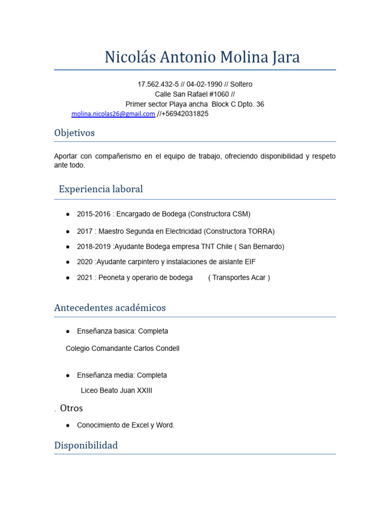 Curriculum Nicolas Molina Actualizado | PDF