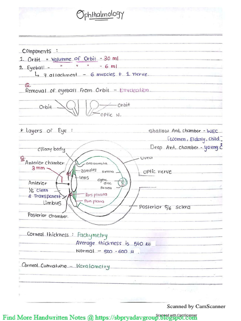 Handwritten Ophthalmology Notes Mist DR Saswat Ray 1600 PDF - Gdrive ...