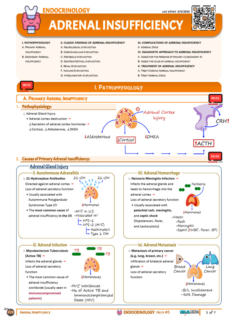 5 Adrenal Insufficiency Notes Pdf Adrenal Gland Cortisol