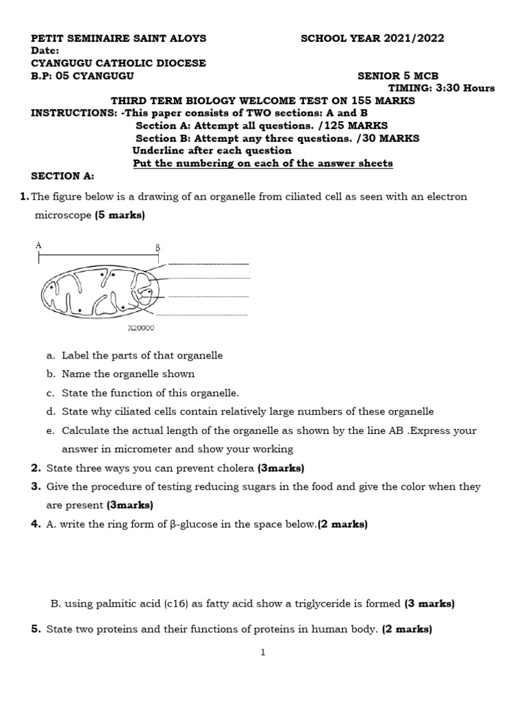 s5 Welcome Test Third Term | PDF | Dna | Base Pair