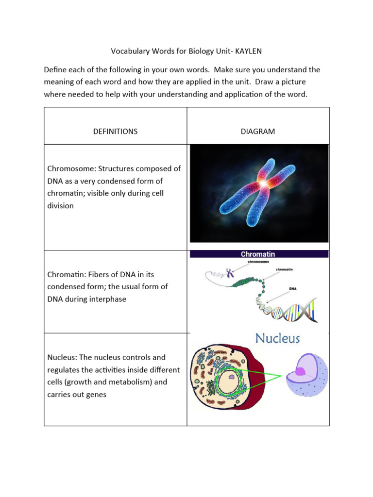 Vocabulary for Biology | PDF | Dominance (Genetics) | Dna