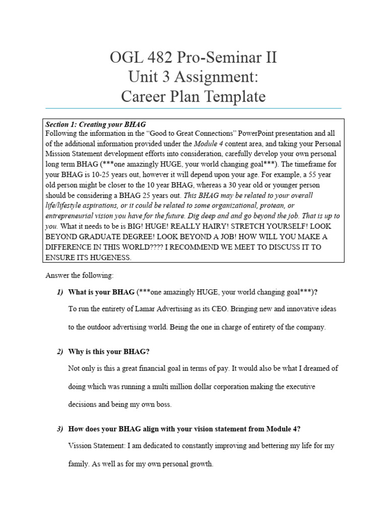 Unit 3 Module Career Plan Template | PDF | Goal | Business