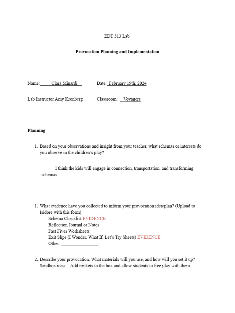 Provocation Planning and Implementation 1 2 2 | PDF | Cognitive Psychology | Psychological Concepts