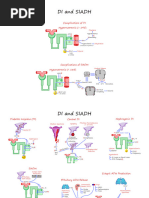BFCRS With Manual Links | PDF | Diseases And Disorders | Human Diseases ...