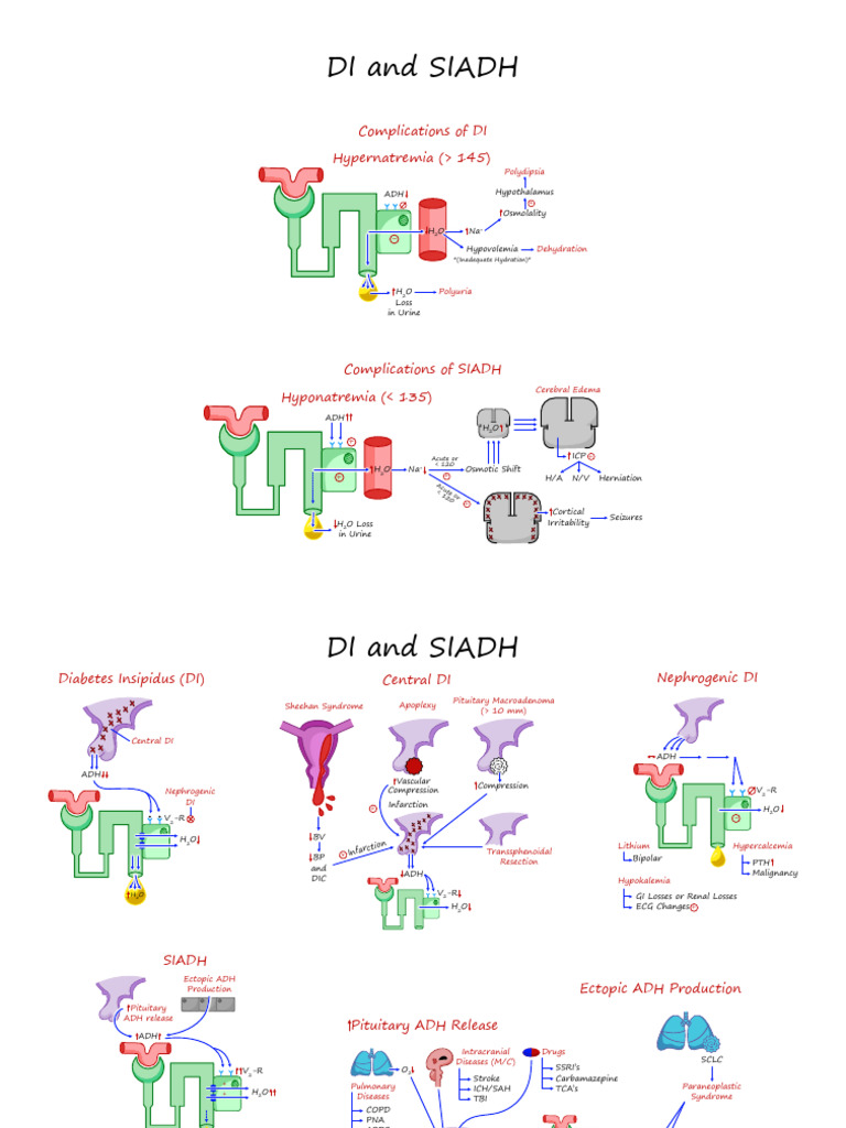 9 - Diabetes Insipidus & SIADH (Illustrations Key) | Download Free PDF ...