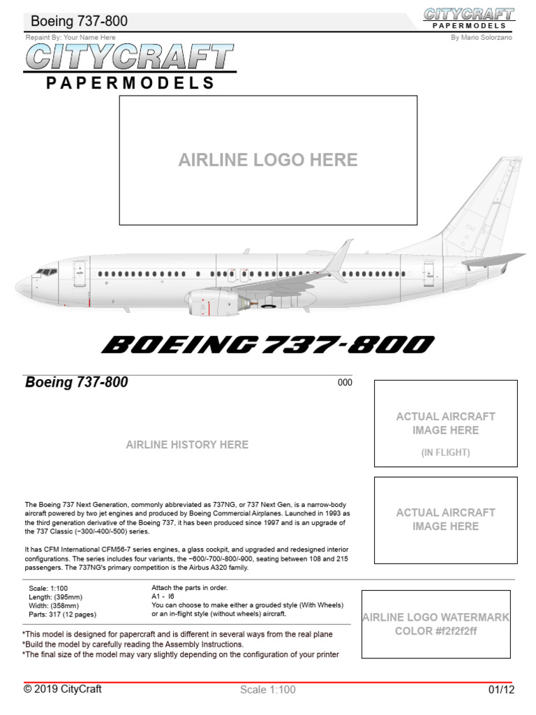 Boeing 737-800 White (CFM56-7B Engine) 1 100 | PDF | Aviation | Boeing