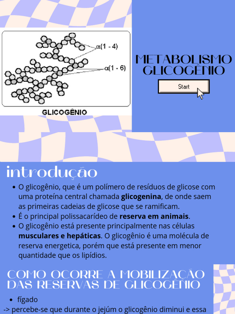 metabolismo glicogênio | PDF | Glicogênio | Enzima