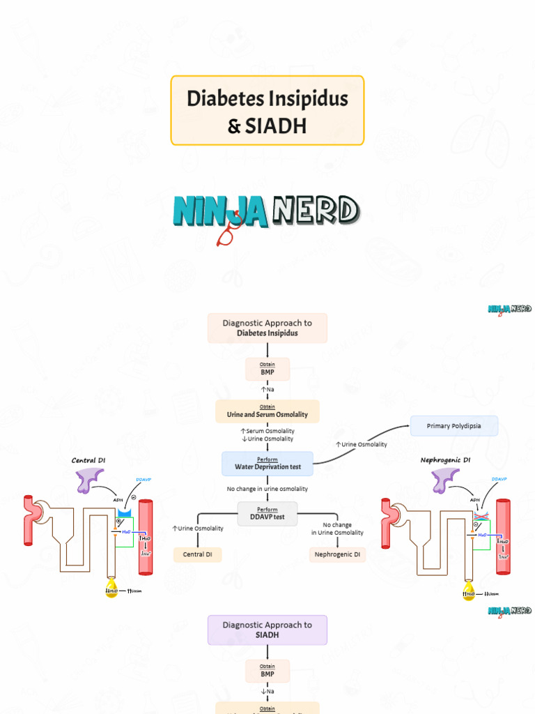 9 Diabetes Insipidus Siadh Slides Pdf Diseases And Disorders