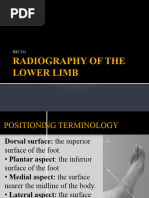 X-Ray Positioning for Toes and Sesamoids | PDF
