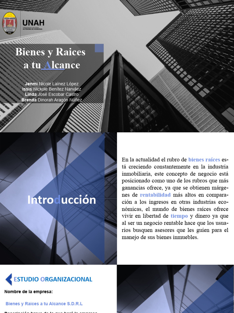 Presentacion Bienes y Raices | PDF | Bienes raíces | Business