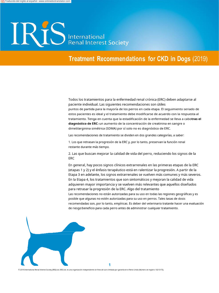 IRIS-DOG-Treatment Recommendations | PDF | Deshidración | Hipertensión