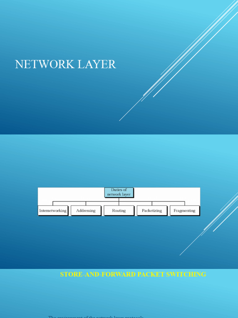 Network Layer | PDF | Routing | Internet Protocols
