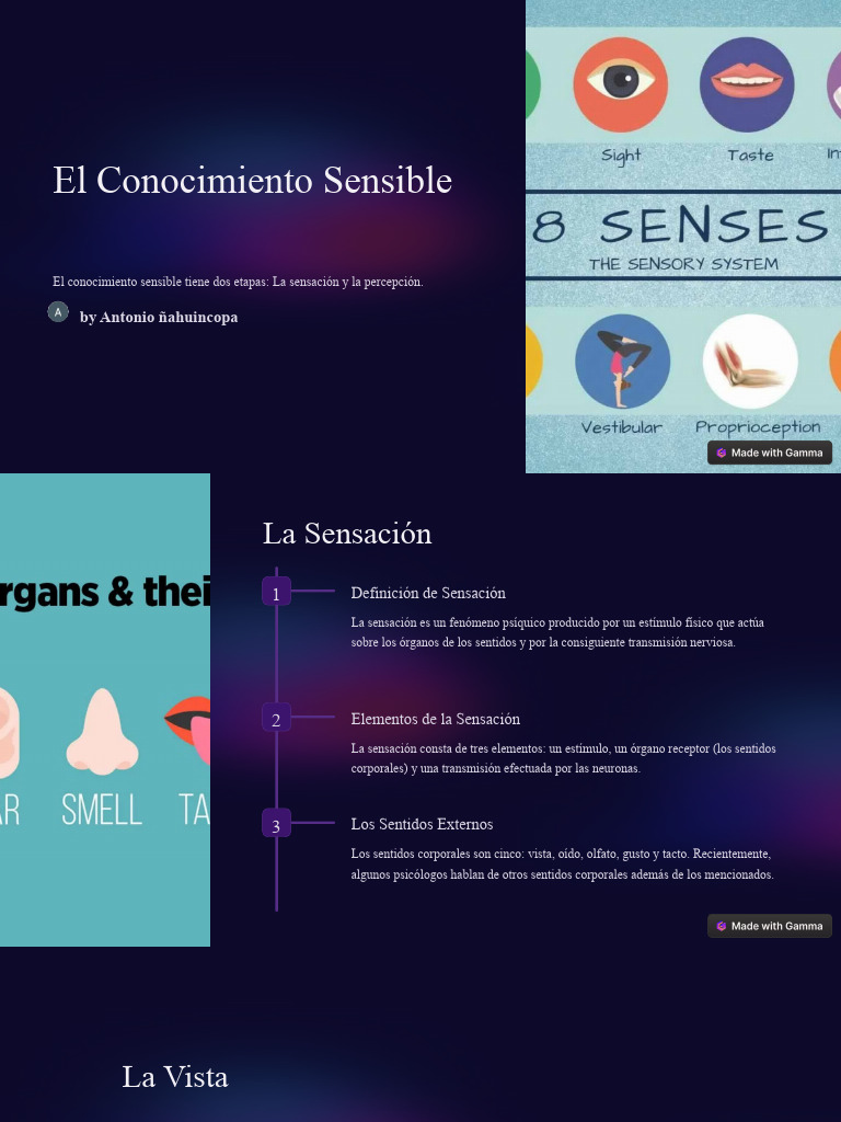 El Conocimiento Sensible | PDF | Sentidos | Gusto