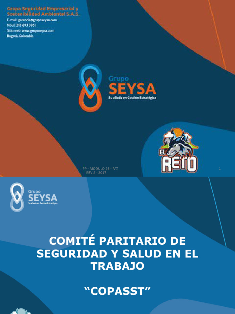 Roles y Funciones Del Copasst | PDF | Seguridad y salud ocupacional