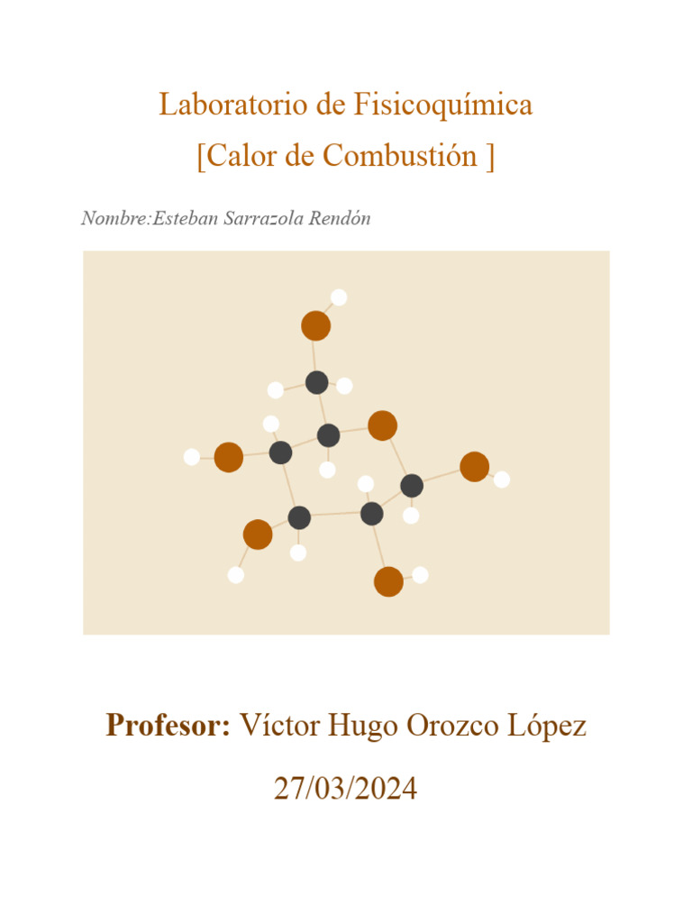 ESTEBAN SARRAZOLA RENDON - (Template) (Template) (Template) Plantilla ...