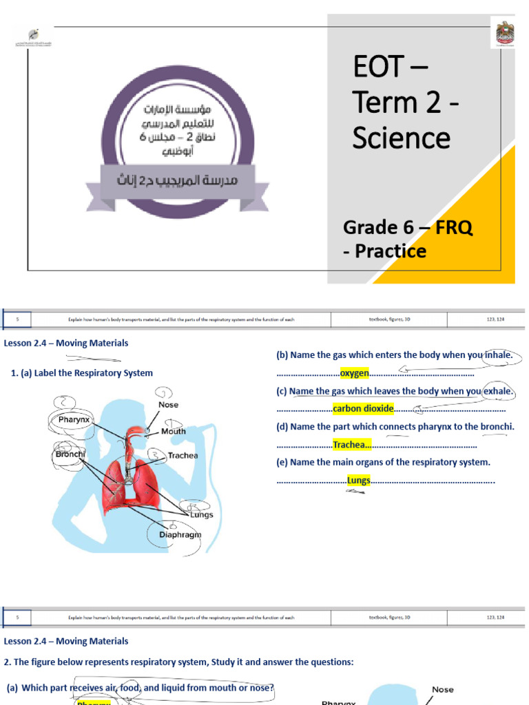 Grade 6 Science Practice | PDF | Cell (Biology) | Breathing
