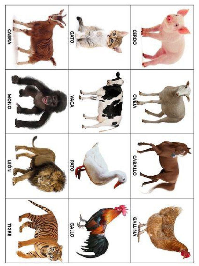 Actividades 23-4 | PDF