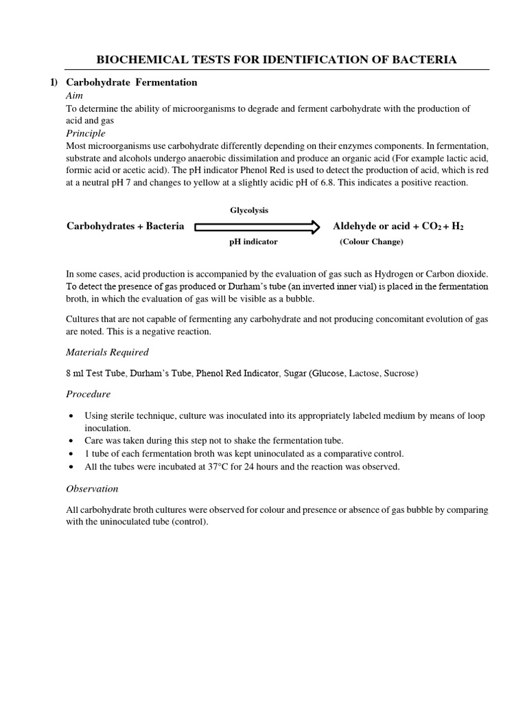 10.biochemical Tests For Identification of Bacteria | Download Free PDF ...