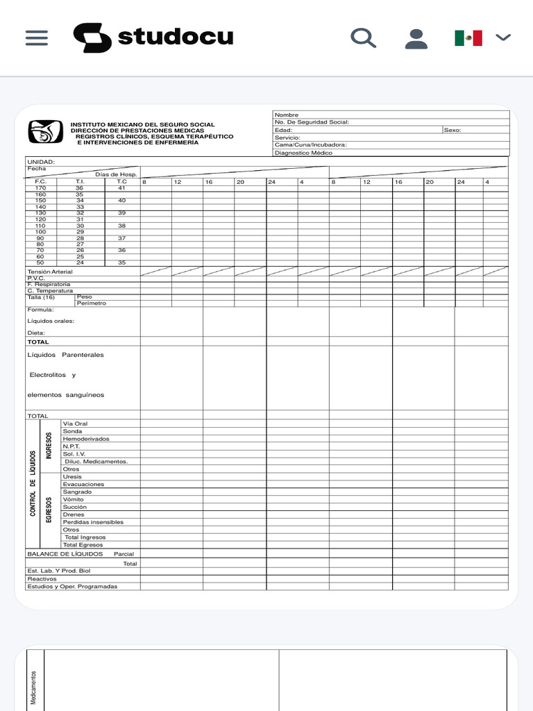 HOJA Enfermeria IMSS - Formato de Hoja de Enfermería Listo para ...