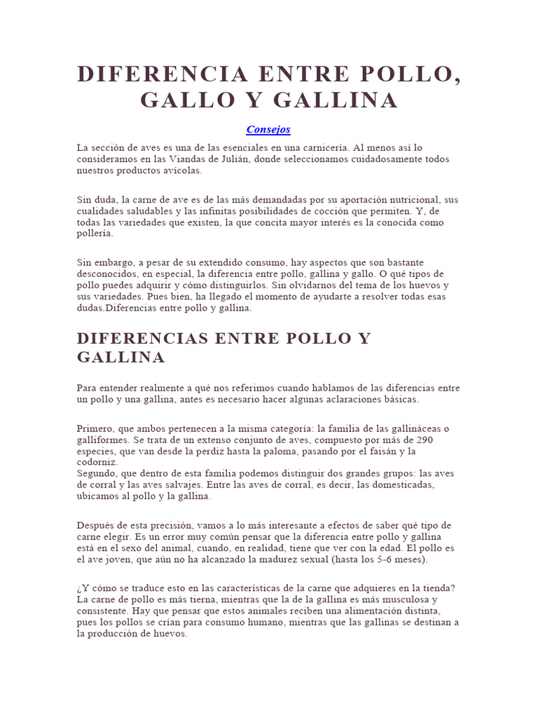 diferencia entre pollo y gallo | PDF | Pollo | Carne