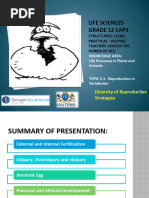 Shop Miss Angler | PDF