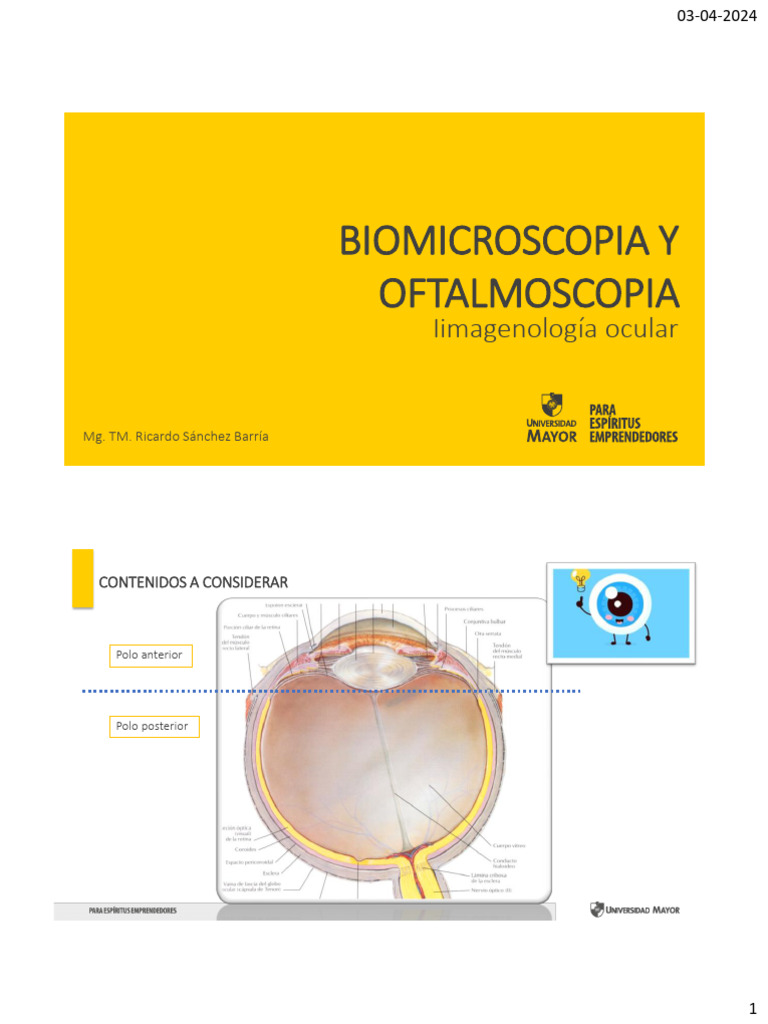 Biomicroscopia y Oftalmoscopia - Clase 4 | PDF | Ojo humano | Córnea