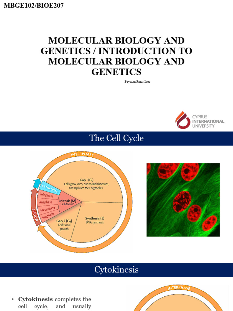 Cytokinesis and Cell Cycle Regulation | PDF | Cell (Biology) | Cell Anatomy