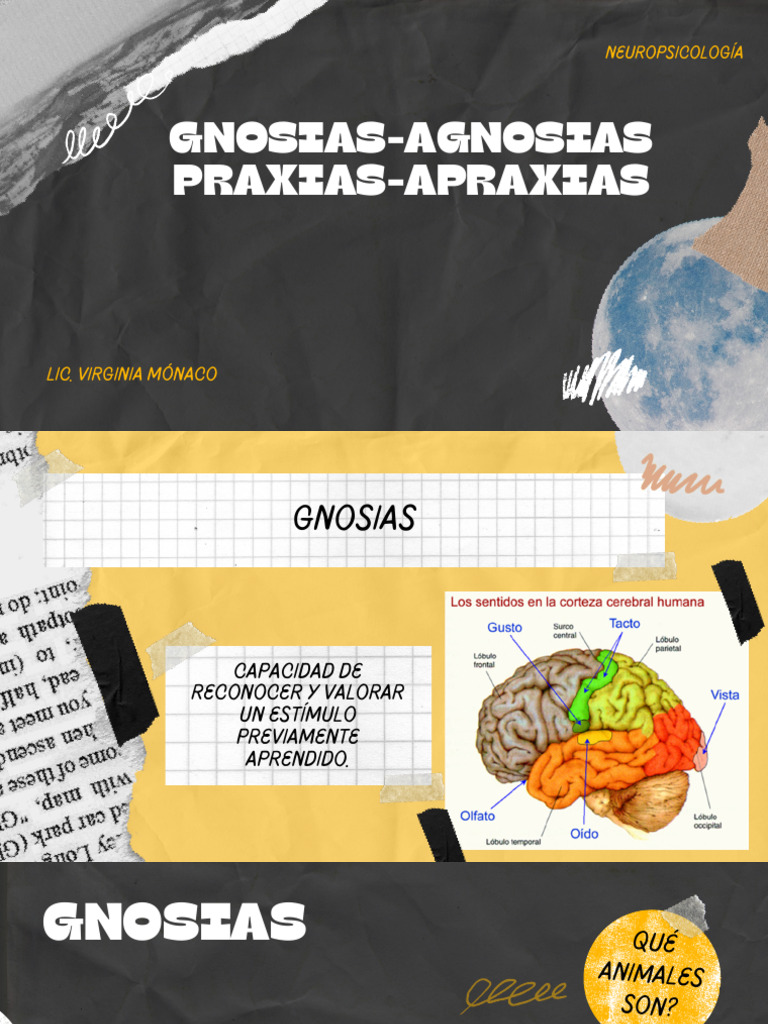 Gnosias - Praxias | PDF | Conceptos psicologicos | Sicología