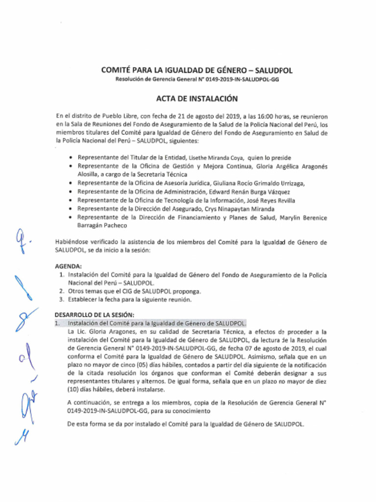 Acta de Instalacion CIG | PDF