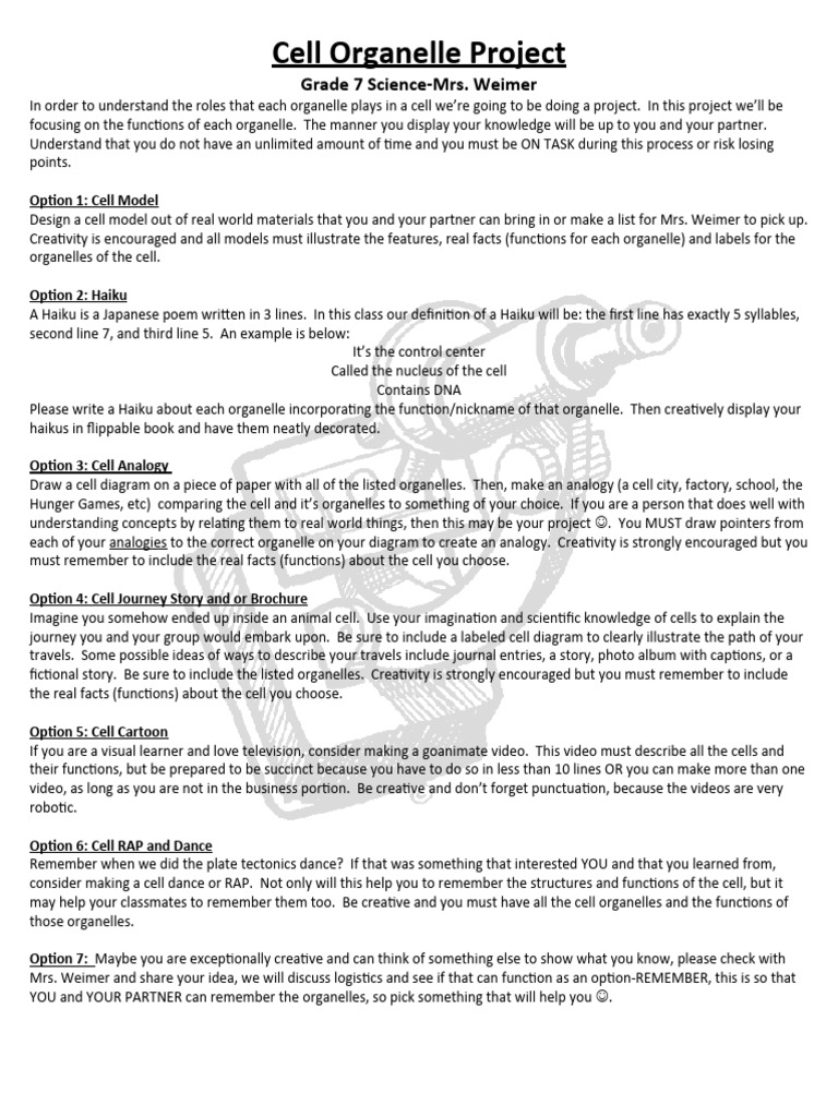 Cell-Organelle-Project-Handout | PDF | Endoplasmic Reticulum | Organelle